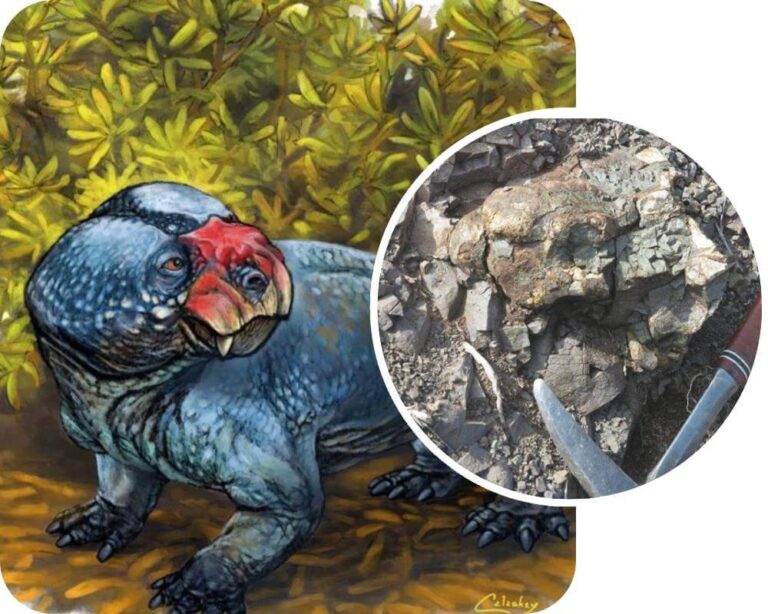 BULBASAUR - VPokedex