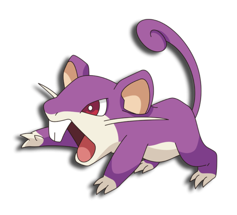 RATICATE - VPokedex